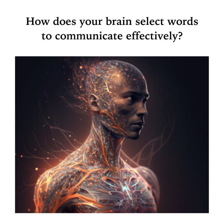 15 Funny And Mind-Bending Palindrome Examples You’ll Love! - The Lingwist