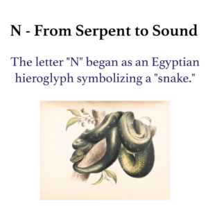 Discover The Origin Of The English Alphabet: How Its Smallest Elements ...